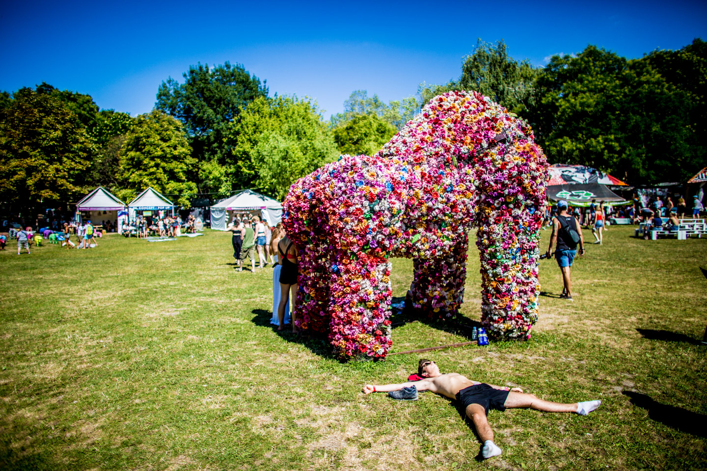 De 10 must do's op Sziget 2019 | Festileaks.com